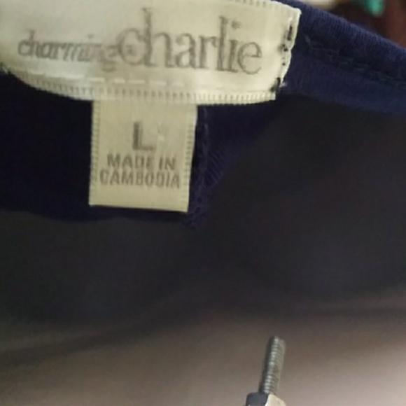 Charming Charlie | Tops | Charming Charlies Blue Long Sleeve Too With ...